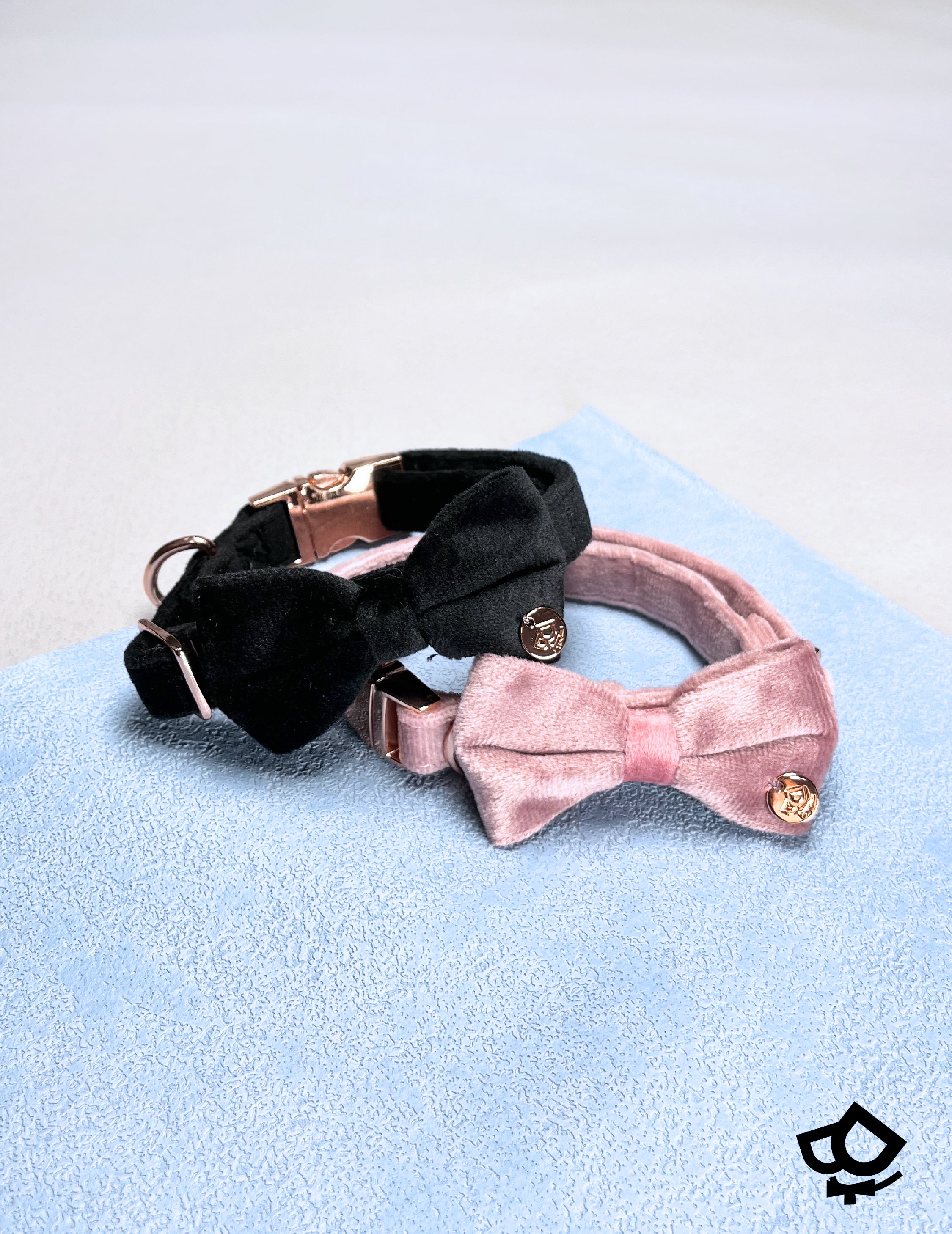 Collars – The Dashing Dogs Collective