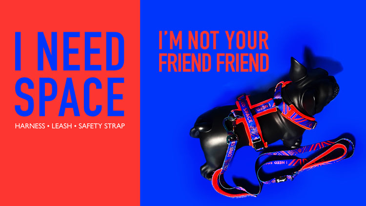 Shop All – The Dashing Dogs Collective