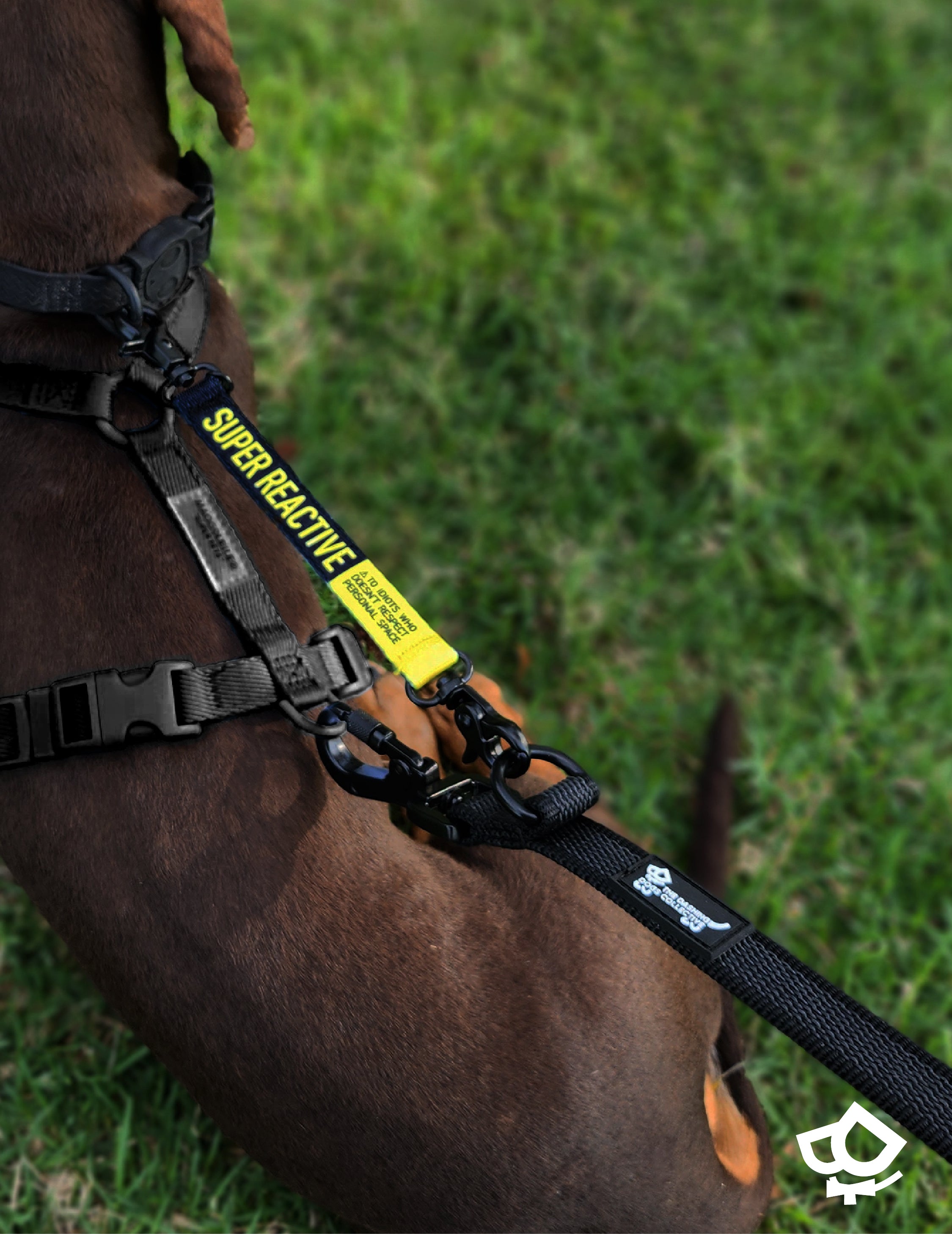 Super Reactive Safety Strap – The Dashing Dogs Collective